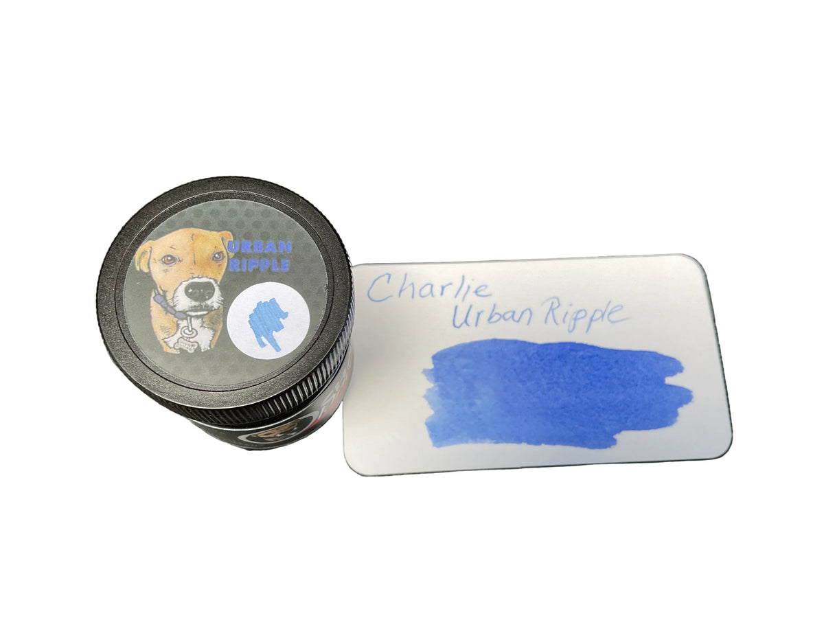 Charlie’s Private Label Fountain Pen Ink Urban Ripple – Florida ...