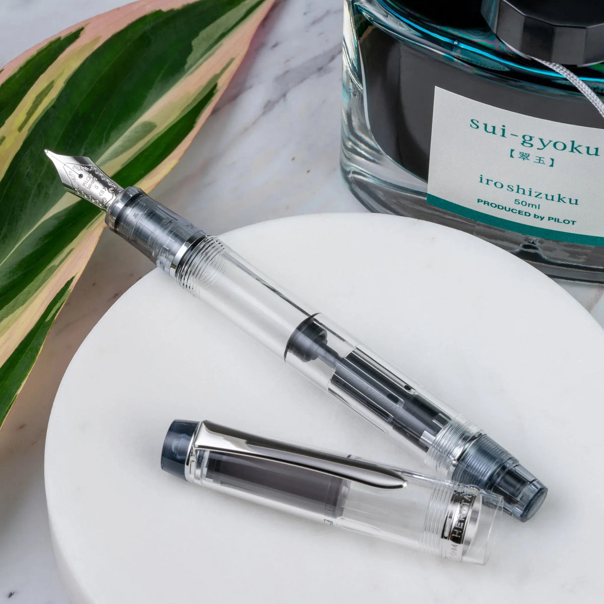Pilot Heritage 92 Clear | Piston Filler 14K Gold Nib – Florida Fountain Pen